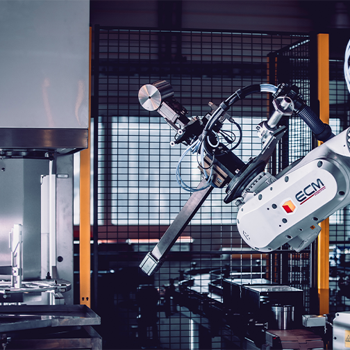 Our expertise - ECM Robotics